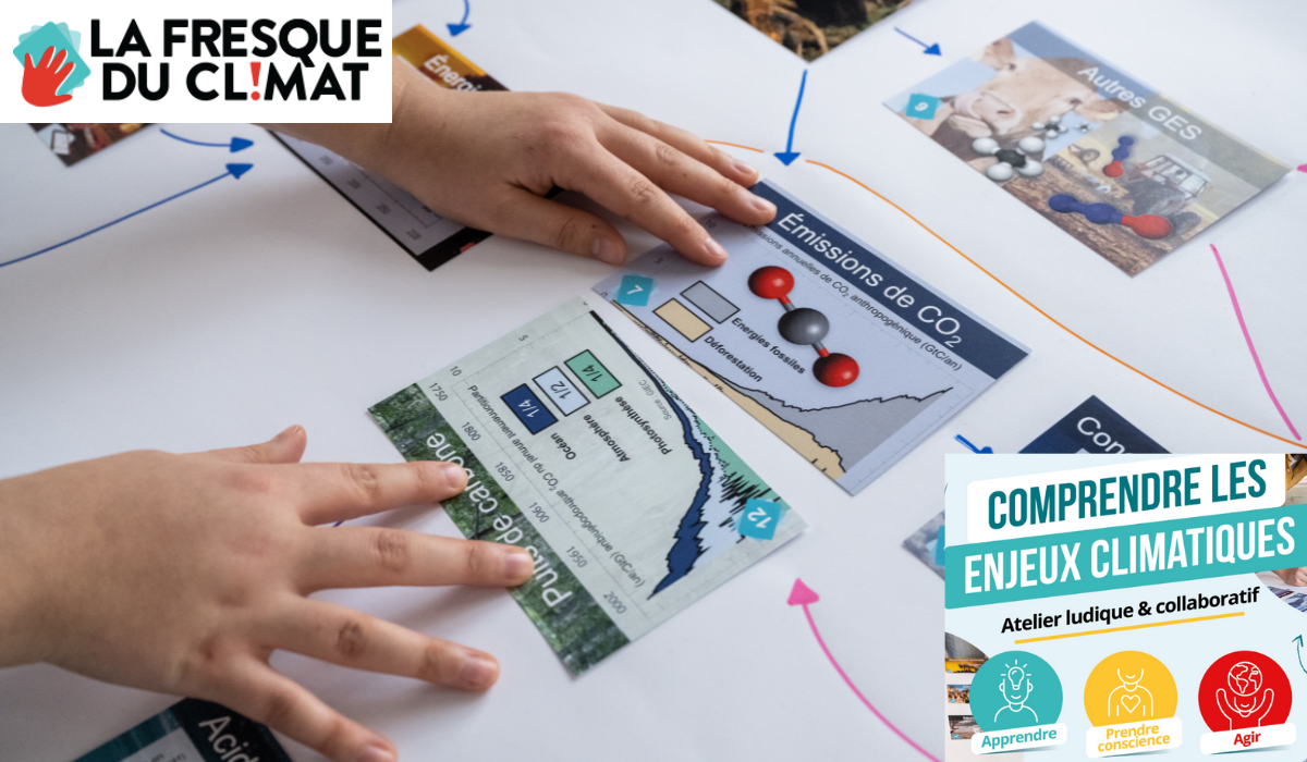 La Fresque du climat : l'atelier pour comprendre les enjeux climatiques - Alix Rovira, conseil ...